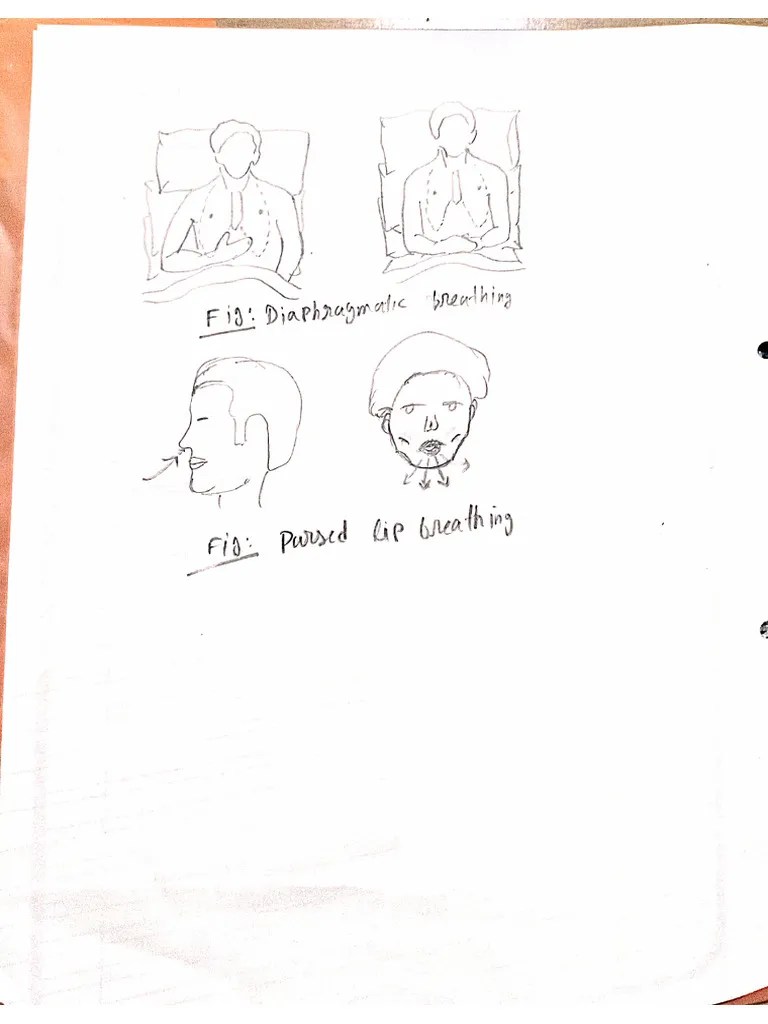 Diagram Exercise Pdf