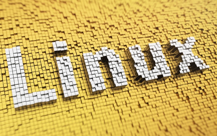 How To Execute Python Script In Linux? A Beginner's Guide