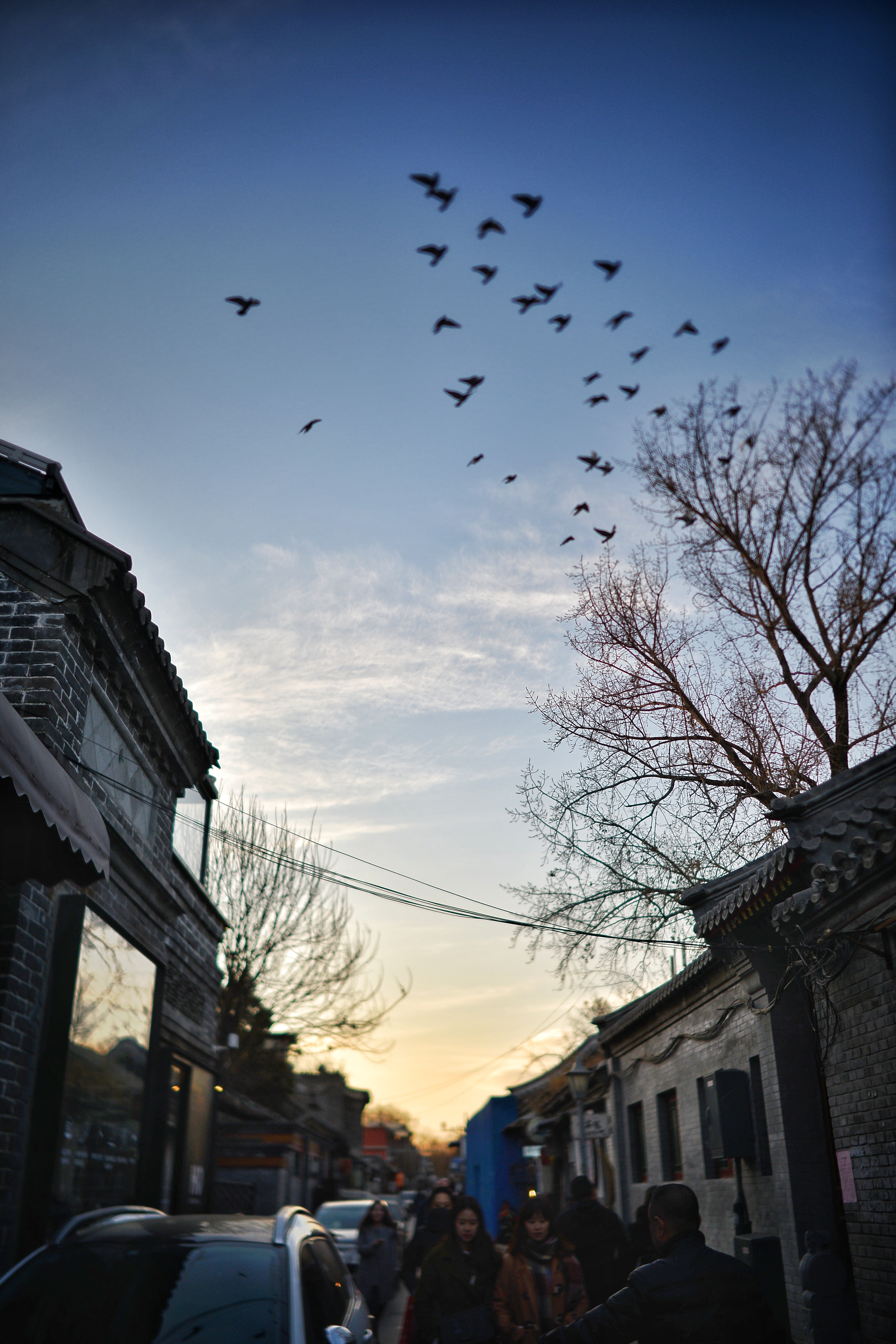 Birds Over Beijing – ISU