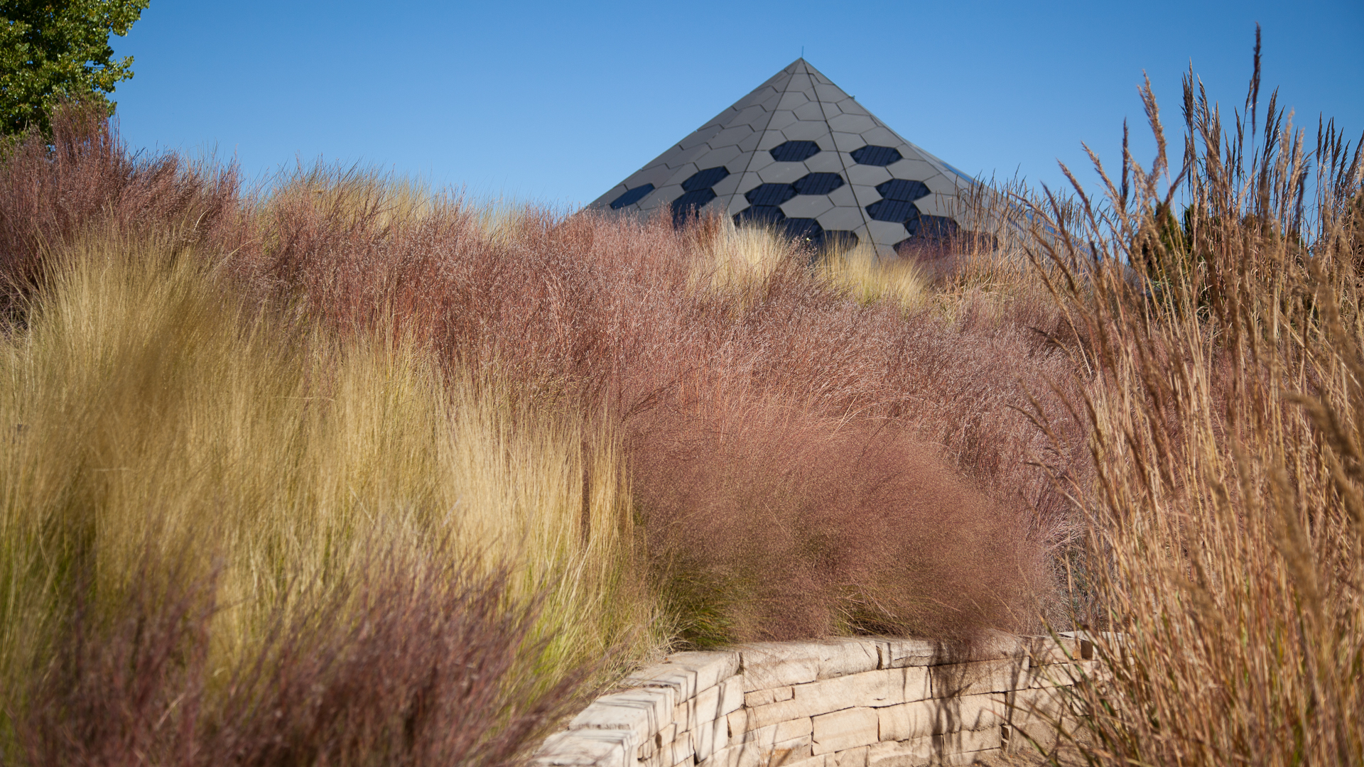 Denver Botanic Gardens – Fall 2016 | InaSphere