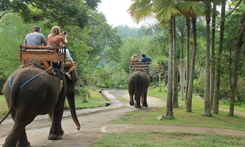 Bali Adventure Tours - The 24 best adventure tours in Bali