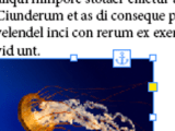 Anchoring Objects To Text In Indesign Cs5 Indesigntutorials