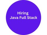 Java Full Stack Architect Sr Sde Bangalore