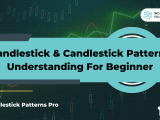 What Is A Candlestick Basic But Useful Understanding For Beginners