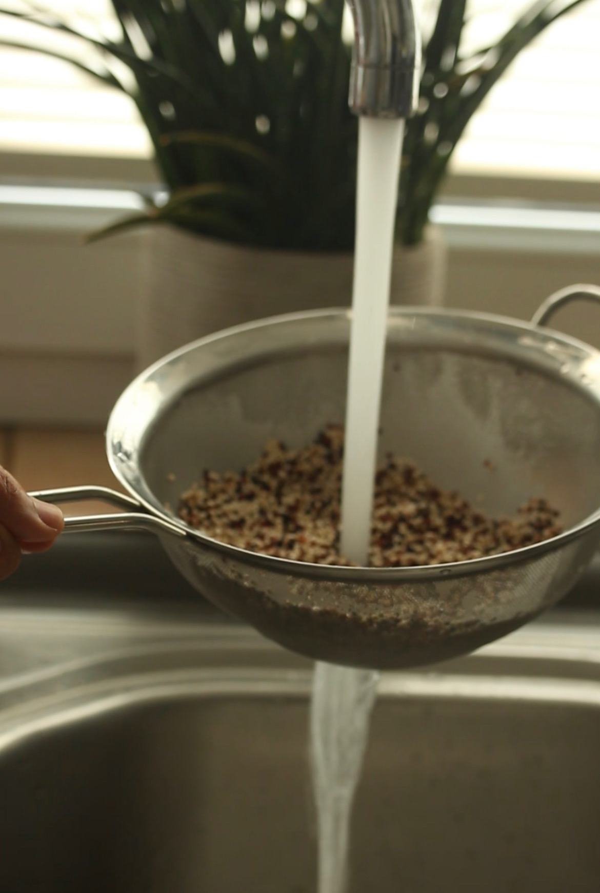 How to Cook Quinoa to Replace Rice? - IndischWindisch