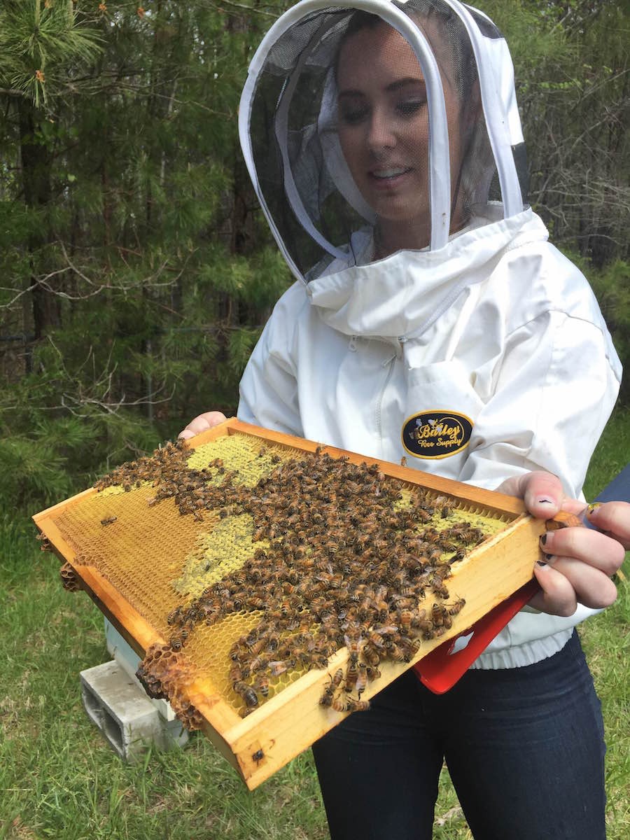 Bee Downtown Is on a Mission to Expand Triangle Bee Populations and ...