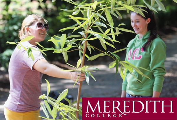 Meredith College: Studying Sustainability - INDY Week