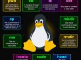 Basic Linux Commands Essential Tips For Beginners