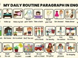 Paragraph On My Daily Routine In English