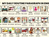 Paragraph On My Daily Routine In English