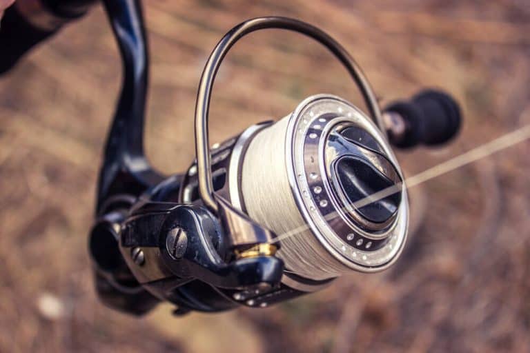 How Does Spinning Reels Work The Basic Mechanism In Fisherman how-does-spinning-reels-work-the-basic-mechanism-in-fisherman