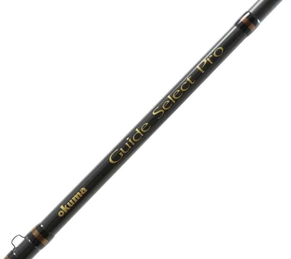 The 6 Best Swimbait Rods in 2021 - Buyer’s Guide