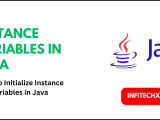 Instance Variables In Java With Examples