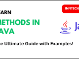 Instance Variables In Java With Examples Infitechx