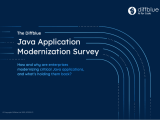 Java Application Modernization Survey