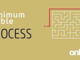 Minimum Viable Process