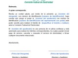 ткы Carta Poder Cfe тзт Formato Word Y Pdf 2026