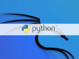 Python On Kali Linux A Beginner S Guide To Get Started Infosecscout