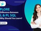 Difference Between Sql And Plsql Infycle Technologies