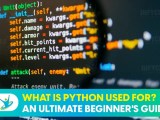 What Is Python Used For An Ultimate Beginner S Guide Infycle