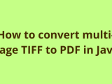 How To Convert Multi Page Tiff To Pdf In Java