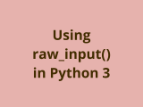 Using Raw Input In Python 3