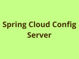 Spring Cloud Config Server