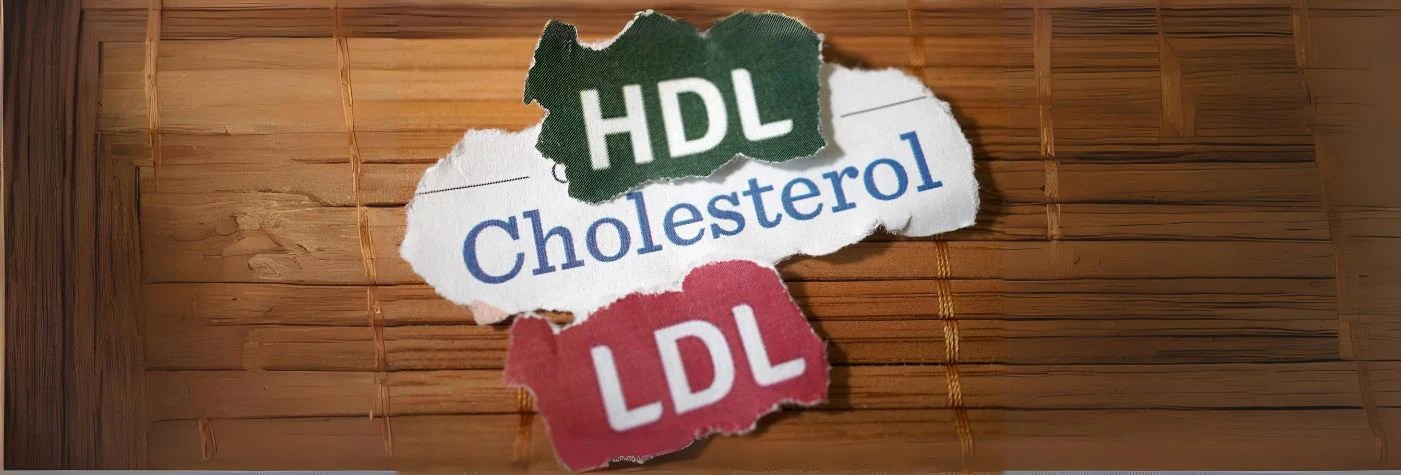 Difference Between Ldl And Hdl Cholesterol Inner Thera