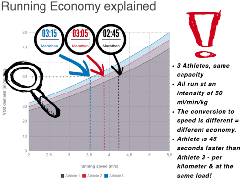 The Ultimate Guide to Running Economy: How to Improve and Measure It ...