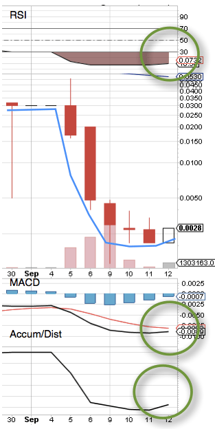 MSPC: A True Bottom Bounce? | Investor News Source
