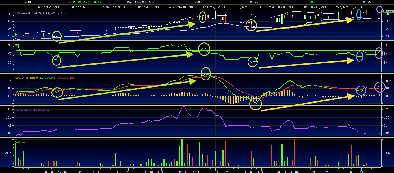 Could PLPL Be This Year’s Big Winner? | Investor News Source