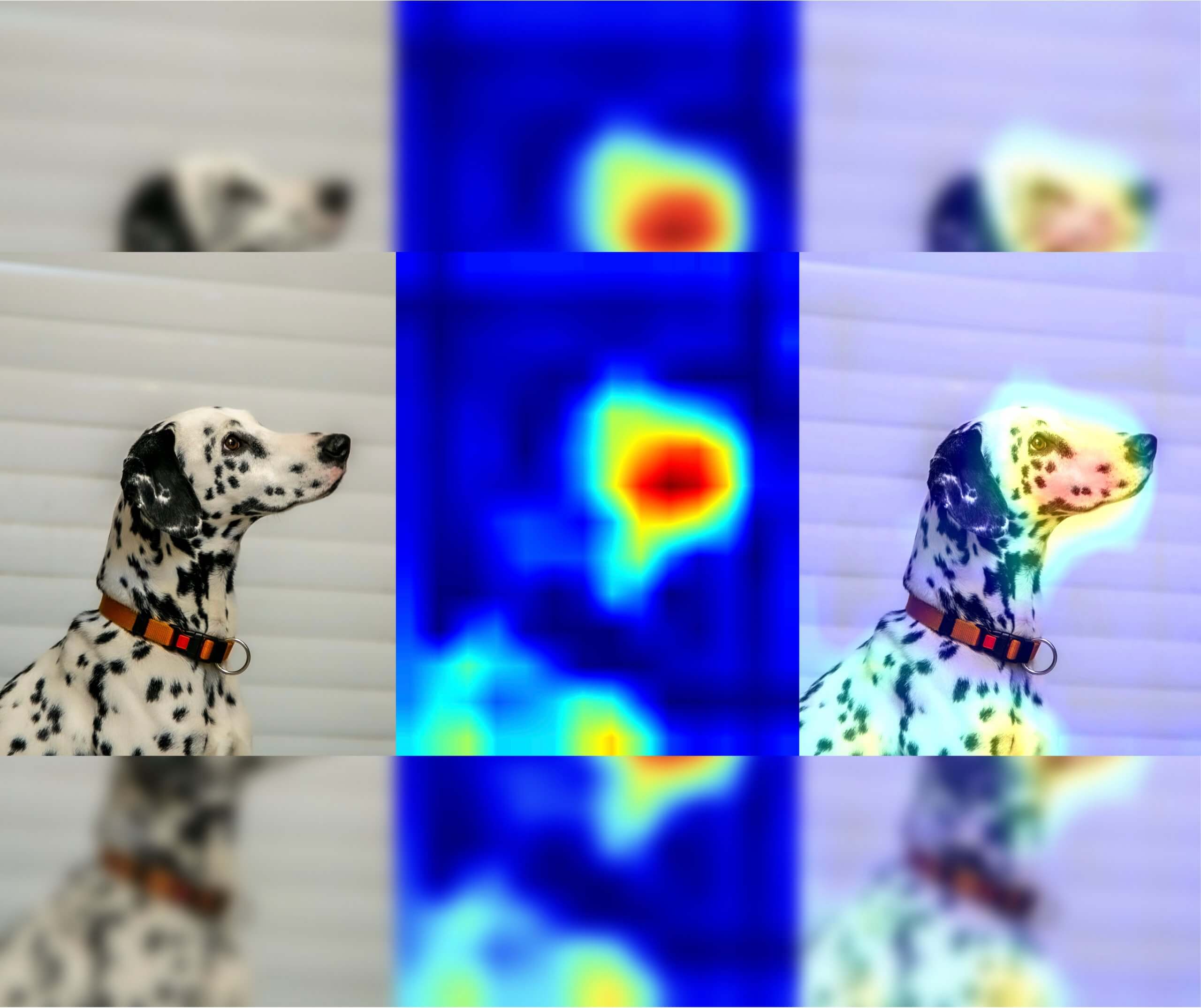 Programmer facilement GradCam - Au cœur de VGG16