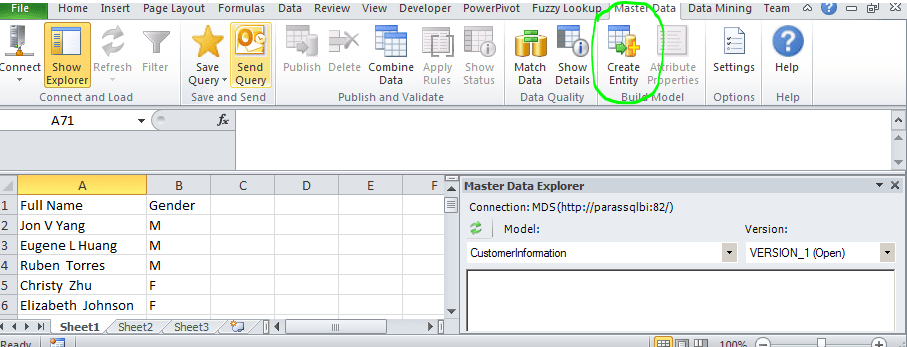 create entity Master Data Services Excel - Insight Extractor - Blog