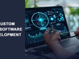 Custom Ehr Software Development Complete Guide