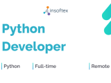 Python Developer