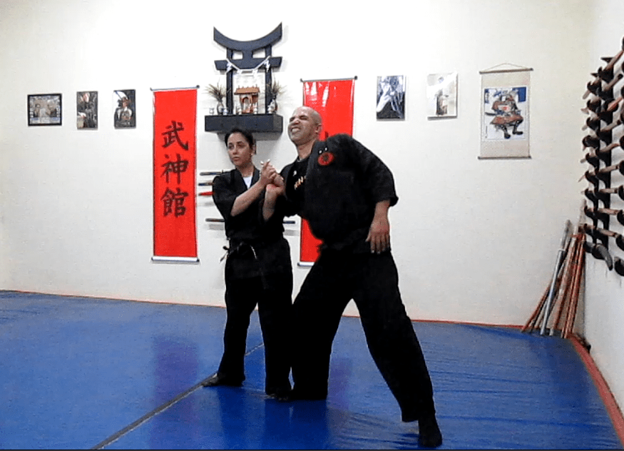Ninjutsu – Instituto Erize de Artes Marciais