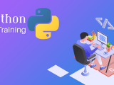 Python Programming Training Insure Tech Skills