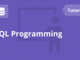 Sql Tutorial Learn Sql From Scratch For Beginners