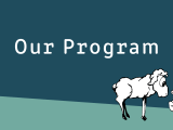 Our Program Intensive Reading Programs