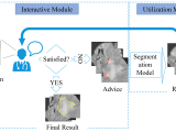 Interactive Medical Image Segmentation