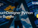 Python Bundle 2023 The Interactive Immersive Hq