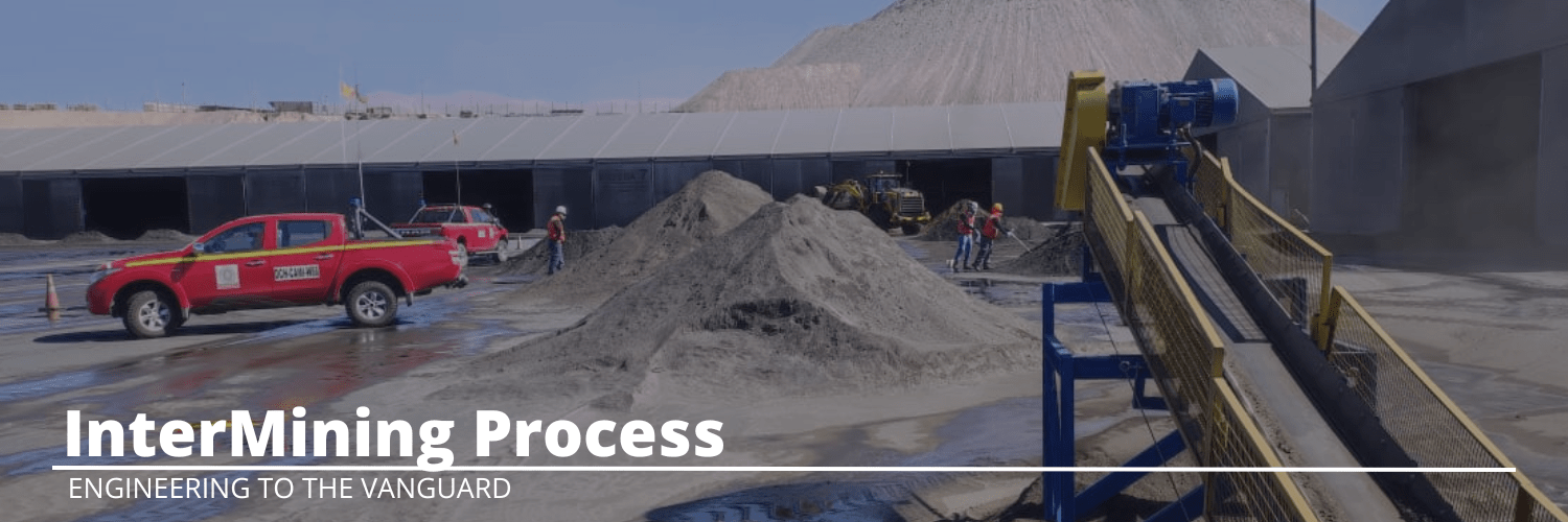 InterMining Process