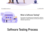 Software Testing Process Infographics By Internet Soft