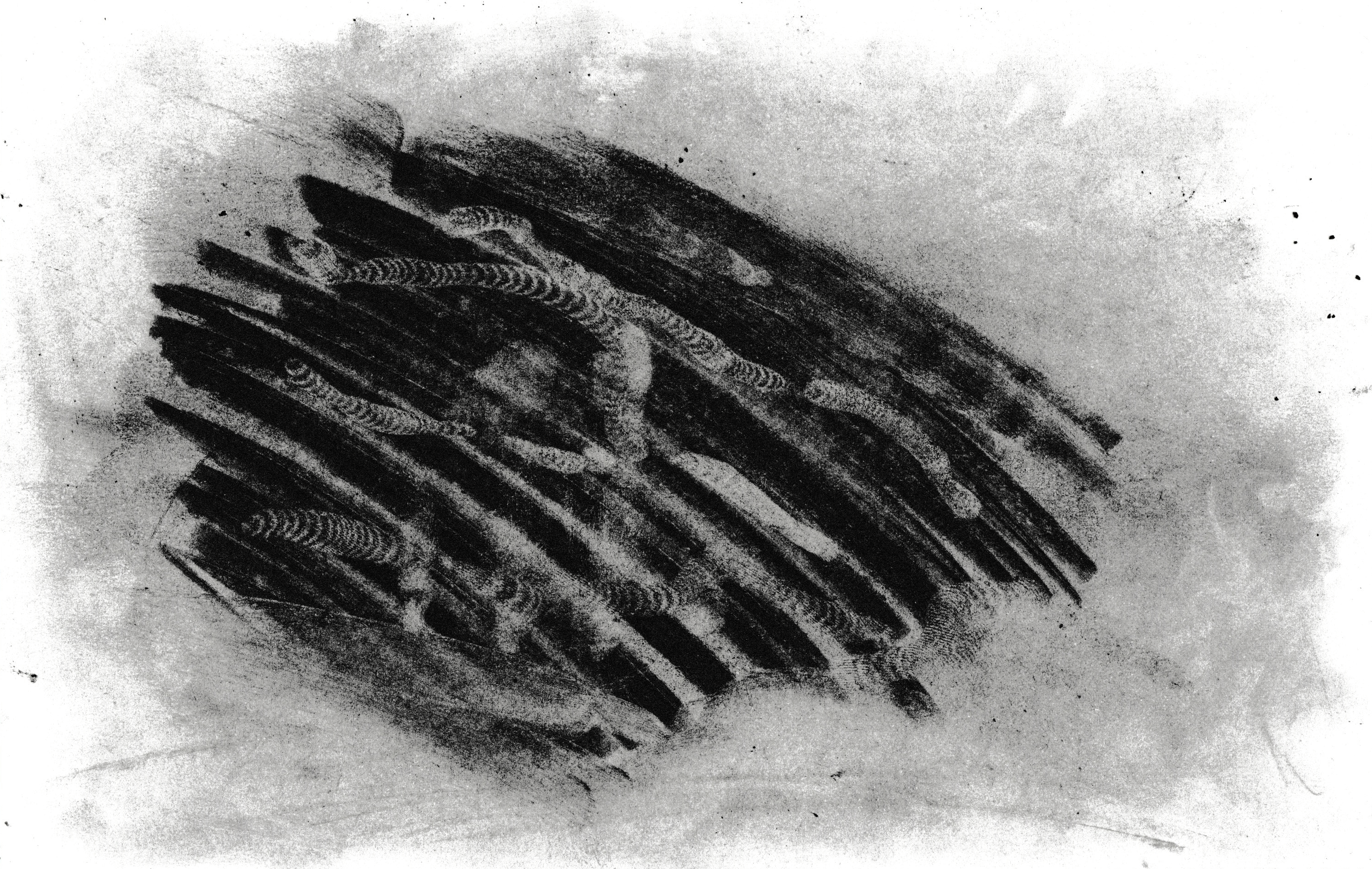 XII – Free Library of the Internet Void