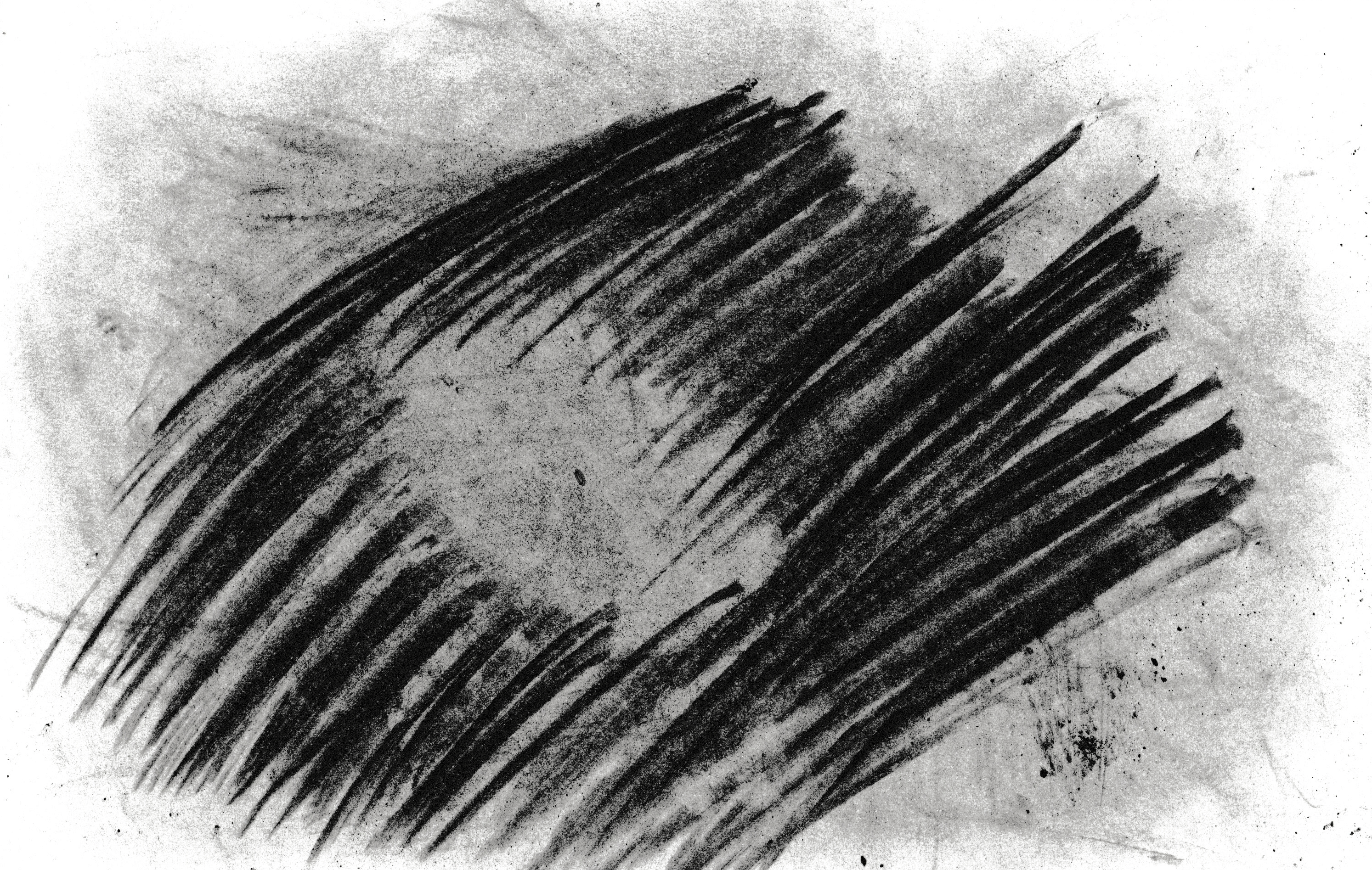 XV – Free Library of the Internet Void