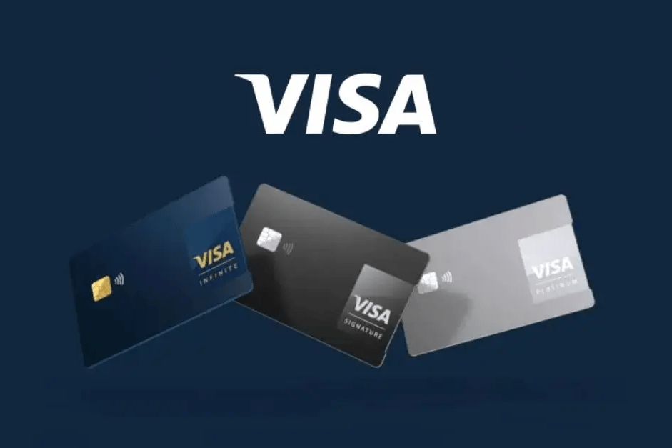 Visa · Client Consulting Research Assistant (fixed-term for 3 months ...