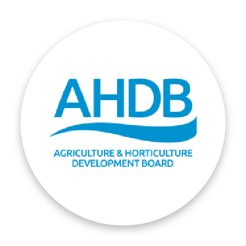 Invdev | Solving specialist problems for enterprise