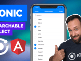 Building An Ionic Searchable Select Component With Angular V6 Ionic