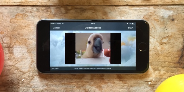 iOS Feature Lets You Lock Touchscreen Access Or One App When Sharing ...