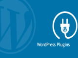 Integrate Live Video Stream From Ip Camera Into Wordpress Website